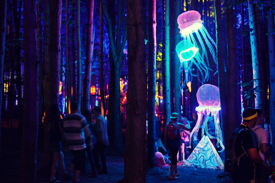 Night, Light: Photos From Electric Forest Festival 2013 | SPIN