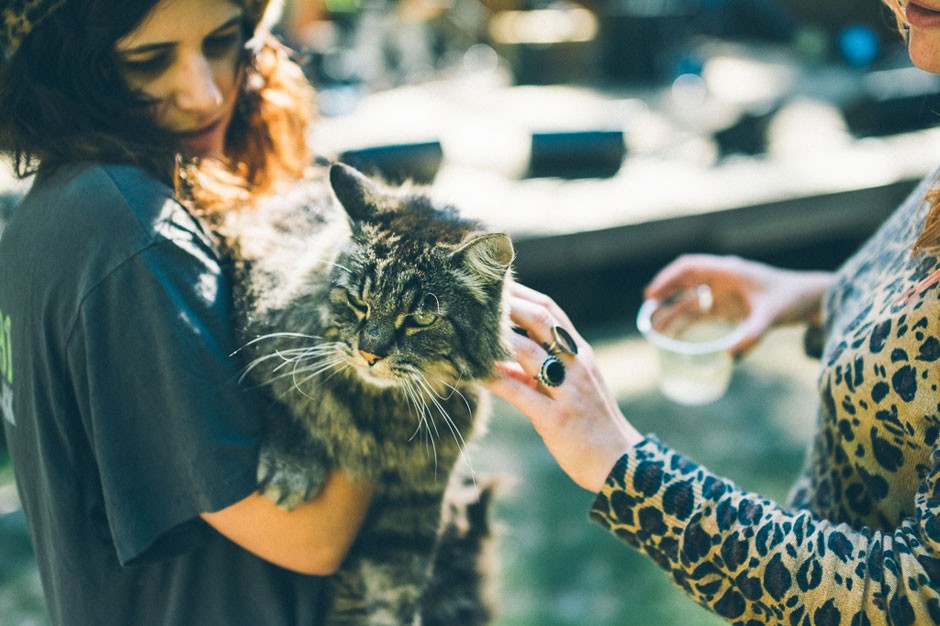 The NoCal Option: 36 Hours with Bleached in San Francisco and Big Sur ...