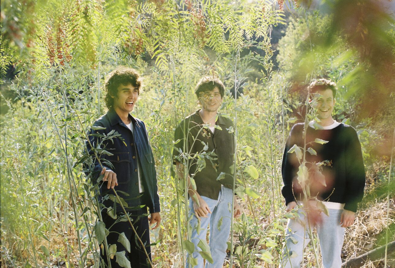 Wallows Are Living the Dream Working as Best Friends - SPIN