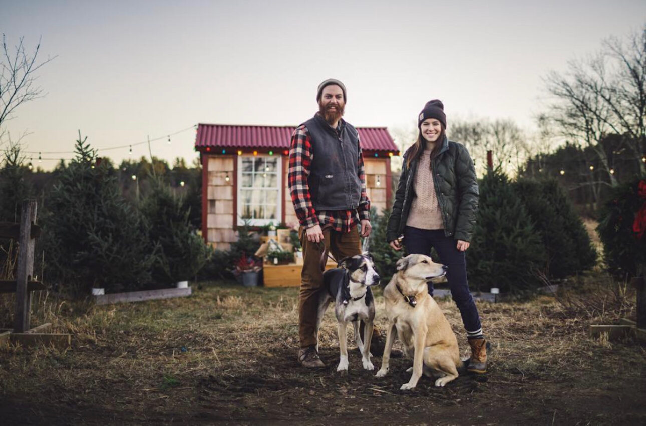 Odd Jobs: Four Year Strong's Alan Day is a Christmas Tree Farmer