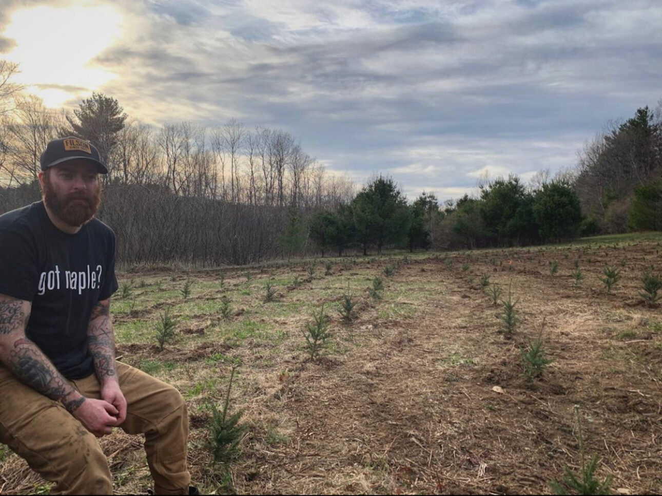 Odd Jobs: Four Year Strong's Alan Day is a Christmas Tree Farmer