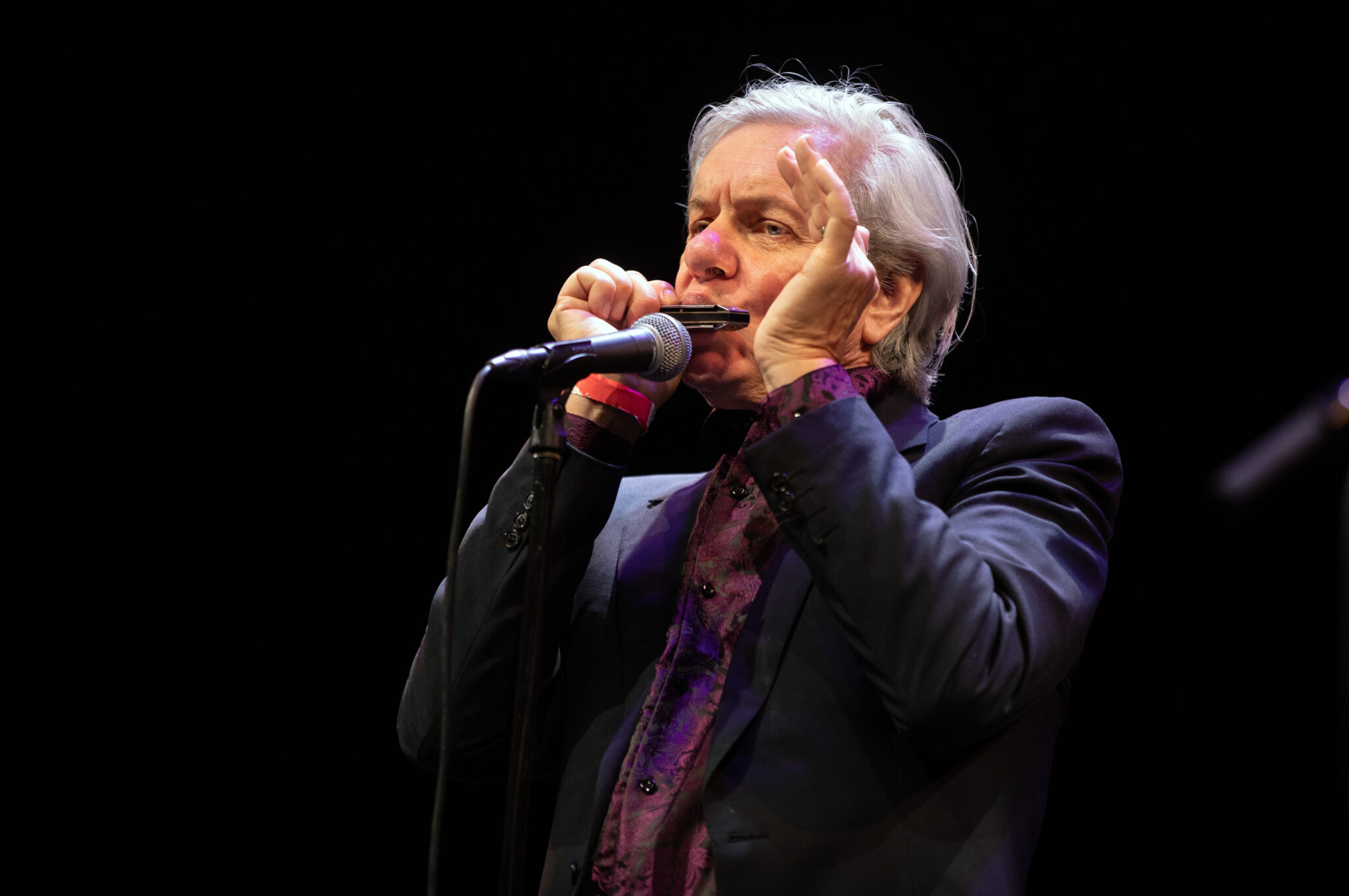 Lenny Kaye Brings 'Nuggets' to the Stage