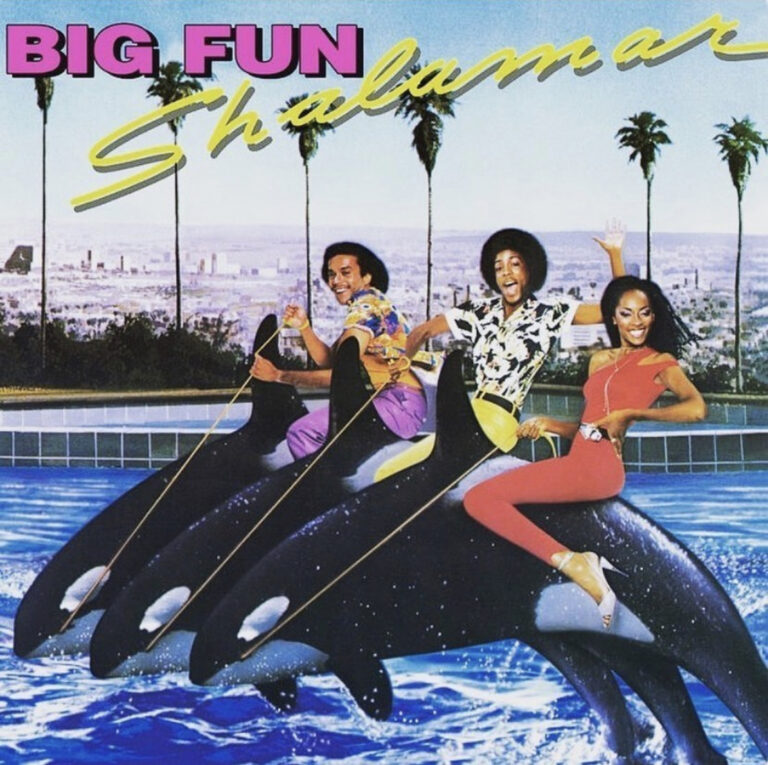 12 Album Covers So Terrible They’re Awesome - SPIN