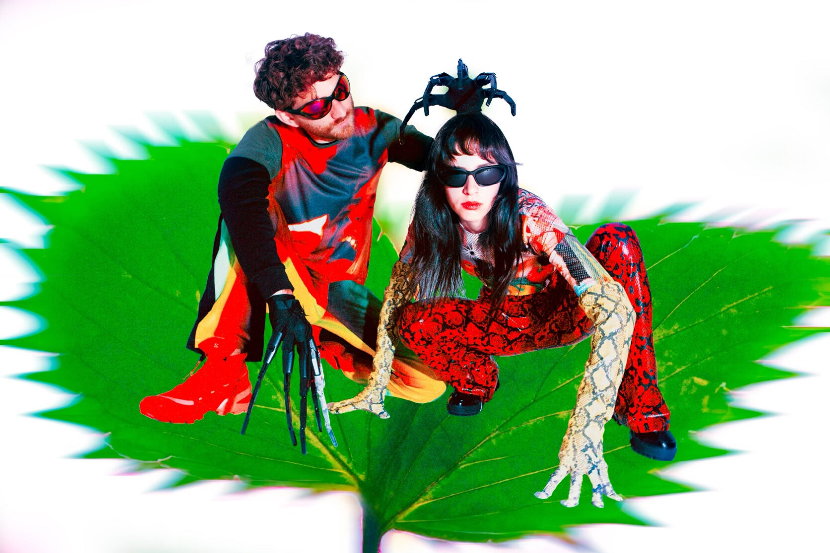 Let the Bees Do Their Buzz: Spinning the 'Imaginal Disk' With Magdalena ...