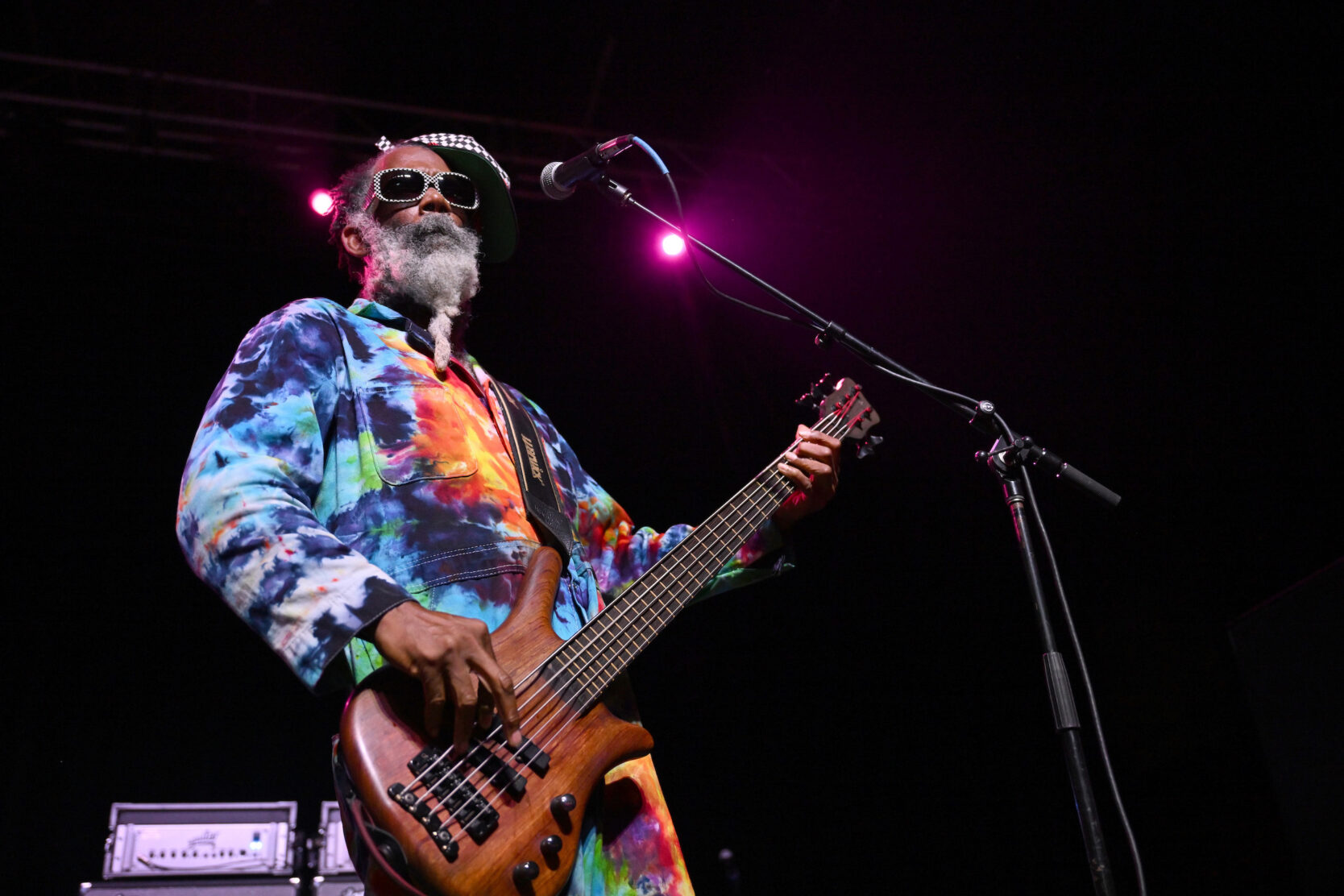 Norwood Fisher on the Future of Fishbone — Without Him - SPIN